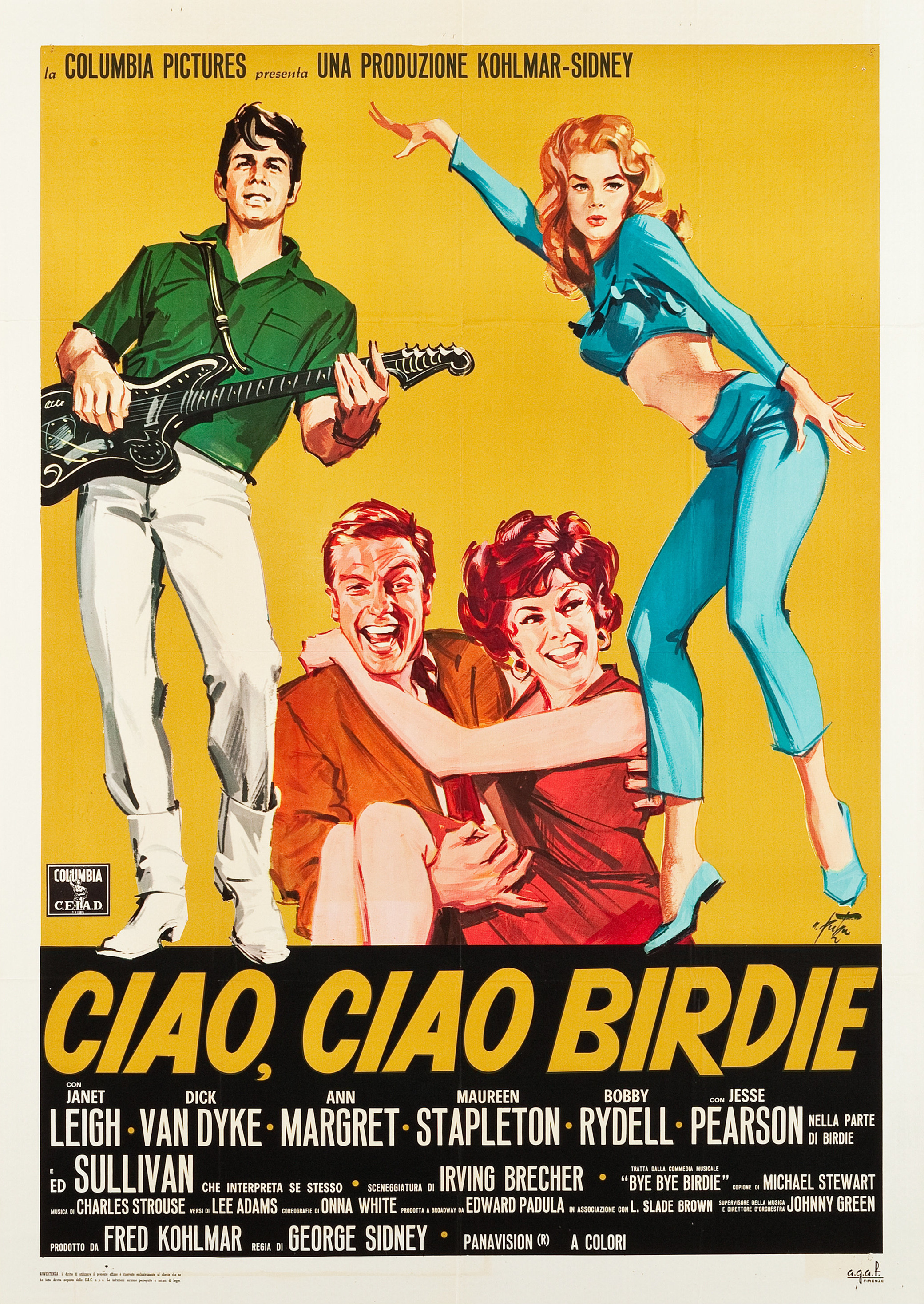 Bye Bye Birdie 1963 Poster Bye Bye Birdie 1963 Poster