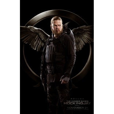 The Hunger Games: Mockingjay - Part 1 Movie Poster #22 - Internet Movie ...
