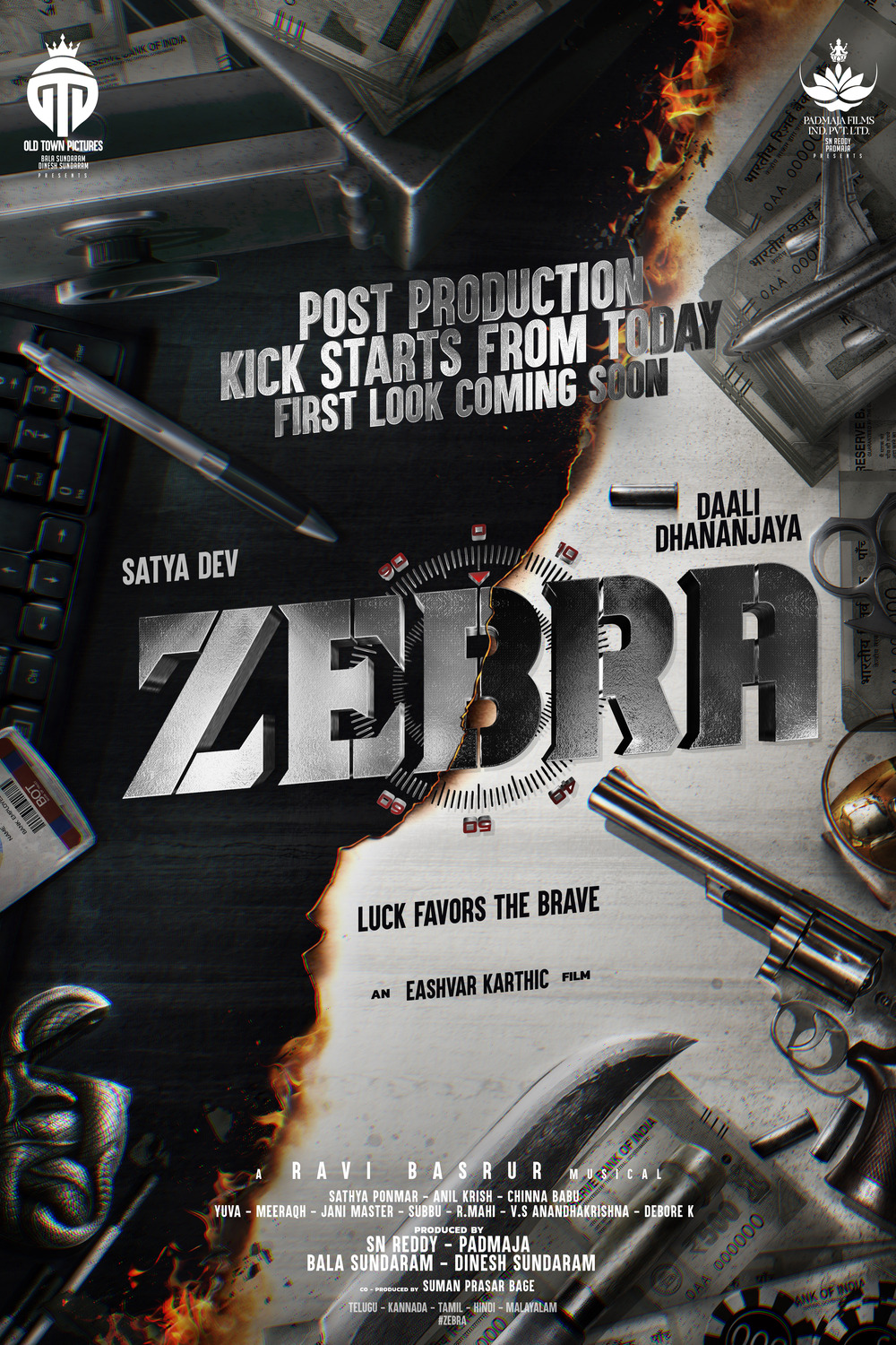 Zebra (#1 of 3): Extra Large Movie Poster Image - IMP Awards